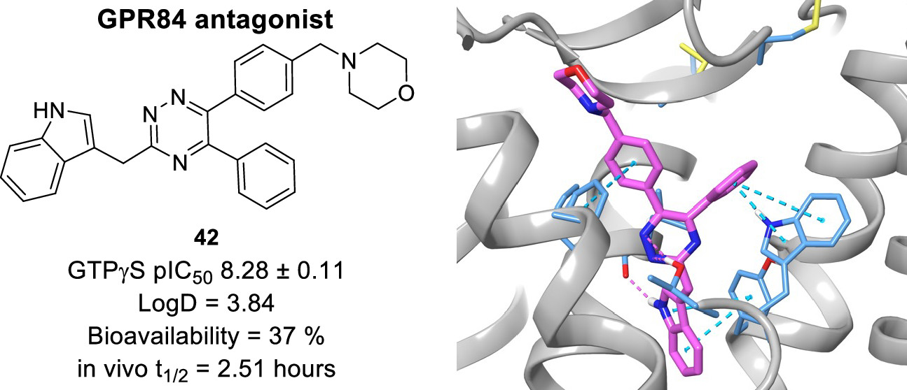 Jamieson Group Publications